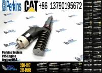 China Excavator Accessories for CAT C11 C13 C15 Fuel Injector 191-3003 1913003 200-1117 2001117 for Construction Machinery for sale