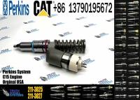 China Common Rail Injector Assy Injector 211-3025 10R-0955 10R-8500 229-5919 10R-1000 Engine C15 for sale