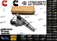 China Diesel Engine Parts Diesel Fuel Injector 4903319 4061851 4026222 4903472 3411756 4902921 for C-ummins ISM11 QSM11 M11 for sale