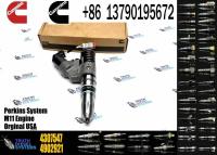 China Fuel Injector Assembly for C-ummins M11 Diesel Engine 4307547 4026222 4903084 Heavy Duty Replacement Part Supplier for sale
