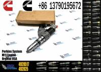 China New Construction Machinery Fuel Injector for M11 Diesel for C-UMMINS Diesel Engine 3411755 3411753 492825 3037772 4928517 for sale