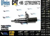 China MUI 4P-2995 High Quality Mechanical Unit Injector 4P2995 GP-Fuel Injector for CAT 3114, 3116 Engine for sale
