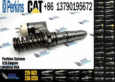 China Excavator Parts 3512B Diesel Engine New Fuel Injector 204-2067 229-1631 245-8272 246-1854 250-1311 for Excavator for sale