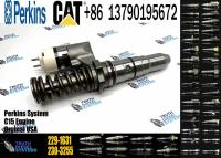 China Excavator Parts 3512B Diesel Engine New Fuel Injector 204-2067 229-1631 245-8272 246-1854 250-1311 for Excavator for sale