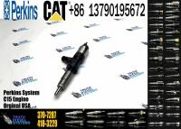 China Excavator EFI Direct Injection Engine Injector 370-7287 20R-2480 T4-09983 295050-0421 3707287 20R2480 for CAT C4.4 for sale