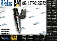 China 253-0618 10R-2772 244-7718 Heavy Duty EUI Diesel Injector for C15 C18 Engine Excavator for sale