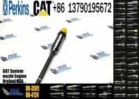 China Diesel Engine Parts CAT 0R-4124 0R-1745 0R-3591 0R-3536 0R-3423 0R-1746 0R-8785 0R-3418 0R-3424 0R-3419 Nozzle for sale
