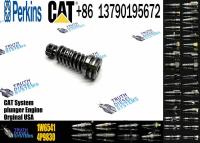 China Diesel Excavator Engine 3306 Fuel Injection Pump Plunger 4P9830 ; 4P9830 ,7W6929,1W6541,1P6400,6N7525,6N7527,1086633 for sale
