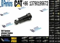 China Diesel Excavator Engine 3306 Fuel Injection Pump Plunger 4P9830 ; 4P9830 ,7W6929,1W6541,1P6400,6N7525,6N7527,1086633 for sale