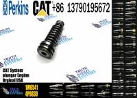 China Diesel Excavator Engine 3306 Fuel Injection Pump Plunger 4P9830 ; 4P9830 ,7W6929,1W6541,1P6400,6N7525,6N7527,1086633 for sale