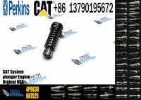 China Excavator Plunger 4P-9830 CAT 3306B 3306 Diesel Fuel Injection Pump Element Plunger 4P9830 1W6541 for sale