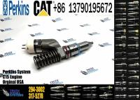 China New Diesel Fuel Common Rail Injector 2943002 10R6162 294-3002 10R-6162 for Diesel Engine Truck C13 for sale