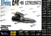 China New Diesel Fuel Common Rail Injector 2943002 10R6162 294-3002 10R-6162 for Diesel Engine Truck C13 for sale