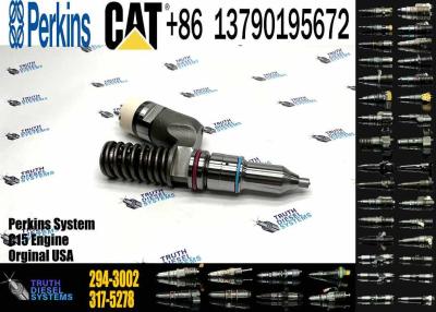 China New Diesel Fuel Common Rail Injector 2943002 10R6162 294-3002 10R-6162 for Diesel Engine Truck C13 for sale