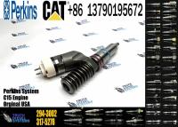 China New Diesel Fuel Common Rail Injector 2943002 10R6162 294-3002 10R-6162 for Diesel Engine Truck C13 for sale