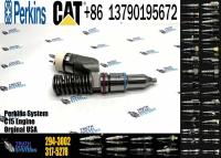 China New Diesel Fuel Common Rail Injector 2943002 10R6162 294-3002 10R-6162 for Diesel Engine Truck C13 for sale