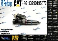 China New Diesel Fuel Common Rail Injector 2943002 10R6162 294-3002 10R-6162 for Diesel Engine Truck C13 for sale