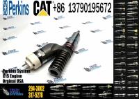 China New Diesel Fuel Common Rail Injector 2943002 10R6162 294-3002 10R-6162 for Diesel Engine Truck C13 for sale