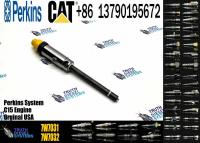 China Brand New Diesel Common Rail Fuel Injector 7W7031 1705187 130-5190 7W-7026 7W7037 4W7017 8N7005 Diesel Engine spare parts for sale