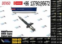 China 295050-0020 295050-0100 23670-30190 23670-39196 Part Number DCRI300100 Common Rail diesel Injection Valve for sale