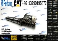 China High Quality Supply Great Service Fuel Injector 250-1313 2501313 More for sale