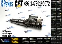China High Quality Supply Great Service Fuel Injector 250-1313 2501313 More for sale