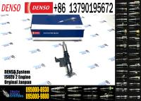 China 095000-6360 Common Rail Injector 095000-6361 095000-6362 095000-6363 095000-6364 095000-6367 095000-6366 095000-8930 095000-8939 for sale