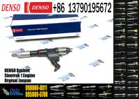 China 095000-8910 098000-8011 VG1246080106 VG124608005 Fuel Injector Common Rail Injector Assy for SINOTRUK HOWO A7 D12 Truck for sale