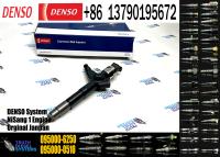 China Common Rail Injector 16600-EB70D 16600-EB70B 16600-EB70C 095000-6250 Injector 16600-EB70D 16600-EB70B for Nissan YD25 for sale