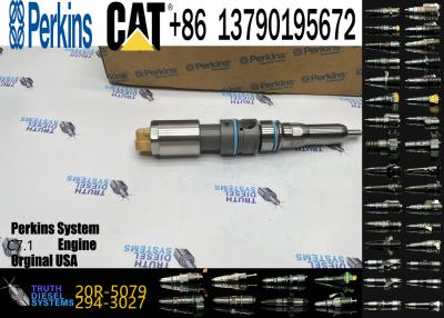 China Diesel Engine Auto Parts Common Rail Fuel Injector 456-3544 20R-5079 for Engine C-9 for sale