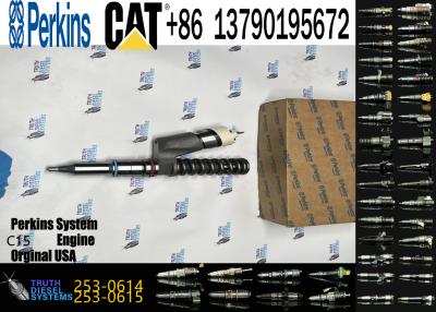 China 234-1400 253-0614 10R-3263 289-0753 10R-0958 211-3022 Diesel Engine Fuel Injector For Ccaterpillar Excavator CAT C15 for sale