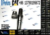 China Engine Fuel Injector 3508B/3512B/3516B 250-1314 386-1766 386-1769 with Original Packaging for sale