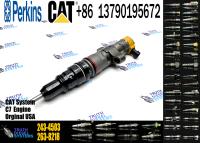 China 295 1409 Fuel Pump Injector 295-1409 243 4503 Common Rail Injector 2434503 Diesel Truck Injection 2951409 243-4503 for sale