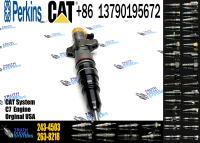 China 295 1409 Fuel Pump Injector 295-1409 243 4503 Common Rail Injector 2434503 Diesel Truck Injection 2951409 243-4503 for sale