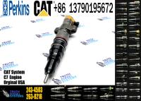 China 295 1409 Fuel Pump Injector 295-1409 243 4503 Common Rail Injector 2434503 Diesel Truck Injection 2951409 243-4503 for sale