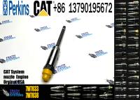 China HOT Fuel Injector 4W7016 4W7017 4W7018 4W7019 7W7032 104-9453 7W7031 7W7033 for Engine 3306 3406 3406B 3406C 3412 3408 3408B for sale