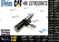 China Excavator Parts 3116 Engine Fuel Injector 101-8673 127-8207 127-8209 127-8216 127-8218 4P-2995 127-8225 127-8222 Diesel Engine for sale