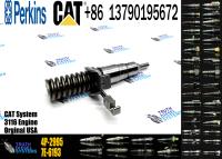 China Excavator Parts 3116 Engine Fuel Injector 101-8673 127-8207 127-8209 127-8216 127-8218 4P-2995 127-8225 127-8222 Diesel Engine for sale