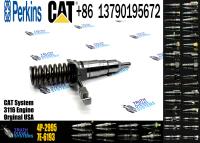 China Excavator Parts 3116 Engine Fuel Injector 101-8673 127-8207 127-8209 127-8216 127-8218 4P-2995 127-8225 127-8222 Diesel Engine for sale