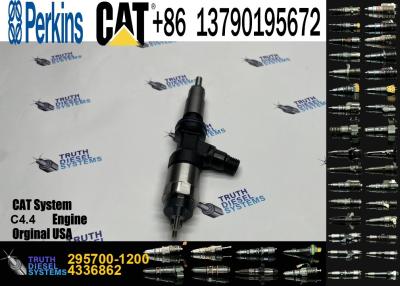 China Common Rail Fuel Injector 295700-1200 5710940 for C4.4 for sale