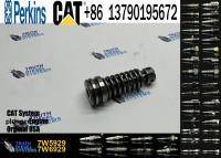 China Diesel Fuel Injection Pump Plunger 1w6541 4p9830 9h5797 6n7527 Plunger Barrel 7w5929 Element for Cat 3304 3306 Diesel Engine for sale