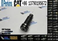China Diesel Fuel Injection Pump Plunger 1w6541 4p9830 9h5797 6n7527 Plunger Barrel 7w5929 Element for Cat 3304 3306 Diesel Engine for sale