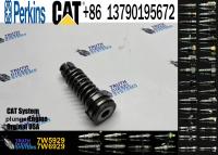 China Diesel Fuel Injection Pump Plunger 1w6541 4p9830 9h5797 6n7527 Plunger Barrel 7w5929 Element for Cat 3304 3306 Diesel Engine for sale