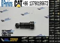 China High Quality Fuel Injection Pump Plunger 9H5797 1W6541 7W5929 6N7828 7W6929 HRCA4P9830 for Excavator for sale
