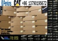 China Best diesel 104-3377 0R-8786 156-3895 173-9267 191-3005 232-1166 232-1173 Diesel Engine Fuel Injector For 3412 3408 for sale