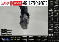 China Diesel Engine Fuel Injector Nozzles: 295700-1210, 295050-2930, 295700-0310 for sale