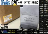 China Diesel Engine C-9 C9 Fuel Injection Pump 3190676 319-0676 for for sale