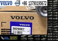 China Electronically Controlled Unit Fuel Injector 3829087 03829087 BEBE4C08001 for Vo-lvo D16C D16 TAD1641GE FH12 EC460B for sale