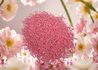China Colorful Needle Speckles Red Speckles Needle Speckles For Detergent Powder for sale