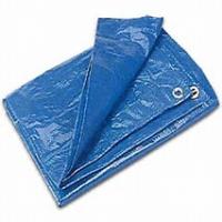China 2OZ-9OZ  Pe Material   10*12ft  Polyethylene  Tarpaulin Poly Tarp For  Covering for sale